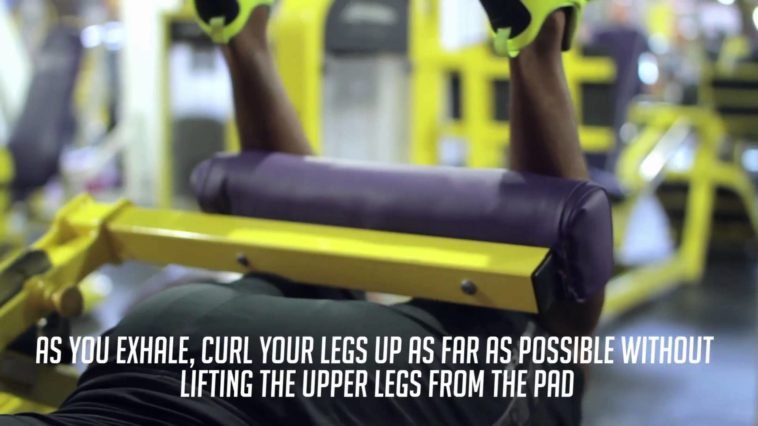 360CUT The Proper Form Leg Curls