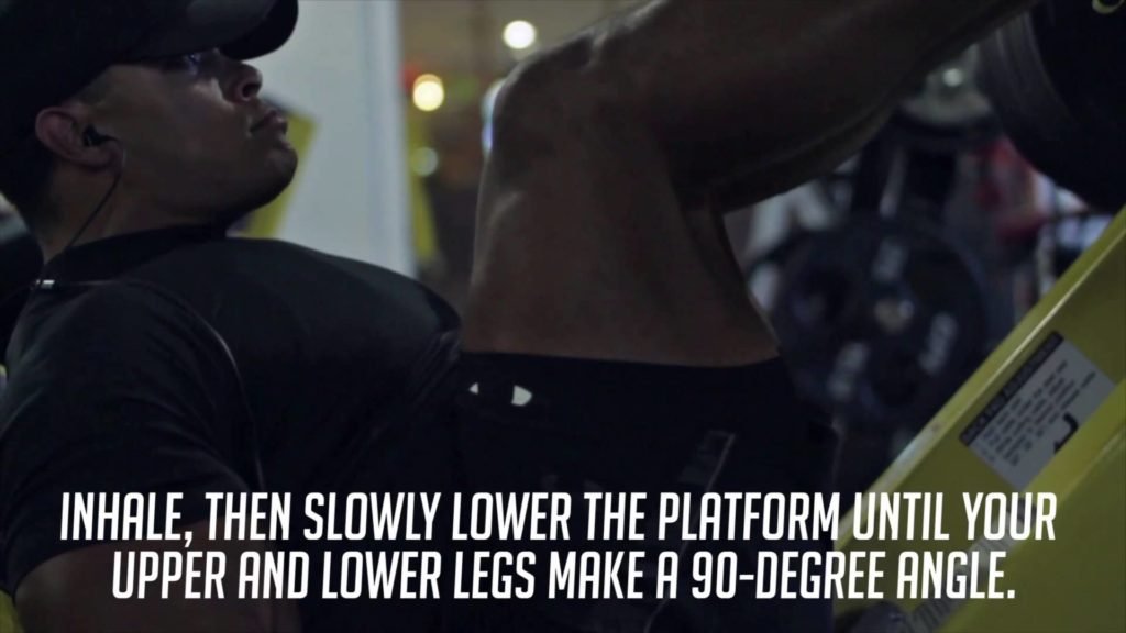 360CUT The Proper Form Leg Press